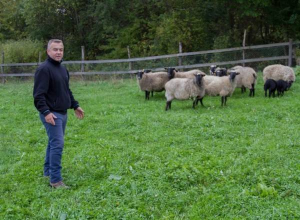 Goran uzgaja romanovske carske ovce: ¨Janje se dvaput godišnje, a ...